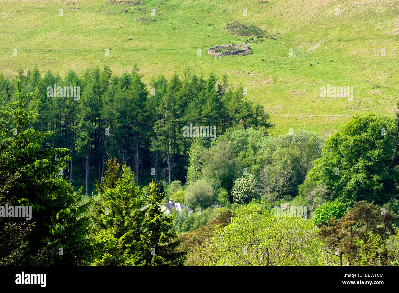 Ettrick Marshes - Owned by The Forestry Commision and run by the ...