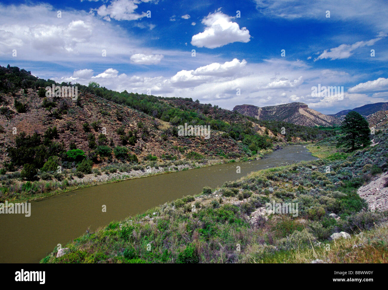 Pilar new mexico hi-res stock photography and images - Alamy