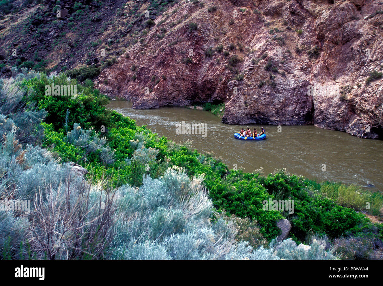 tourists, river rafter, river rafters, river rafting, Rio Grande, near ...