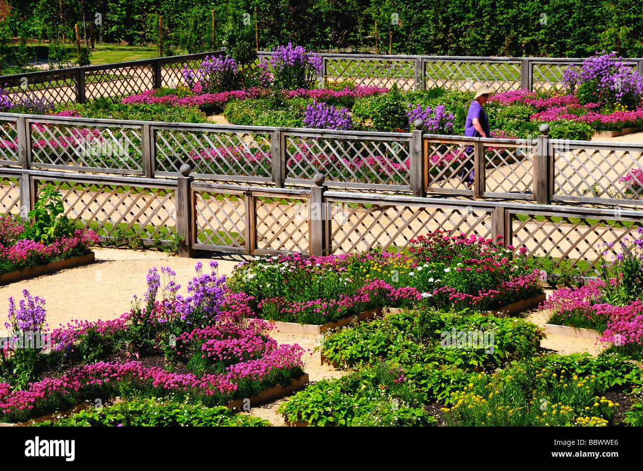 Victorian Garden Images at Georgia Farber blog