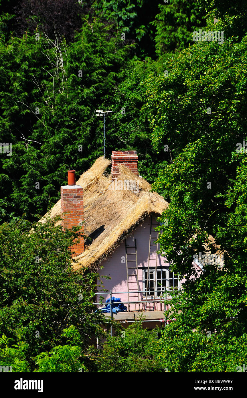 Cute thatched cottage hi-res stock photography and images - Alamy