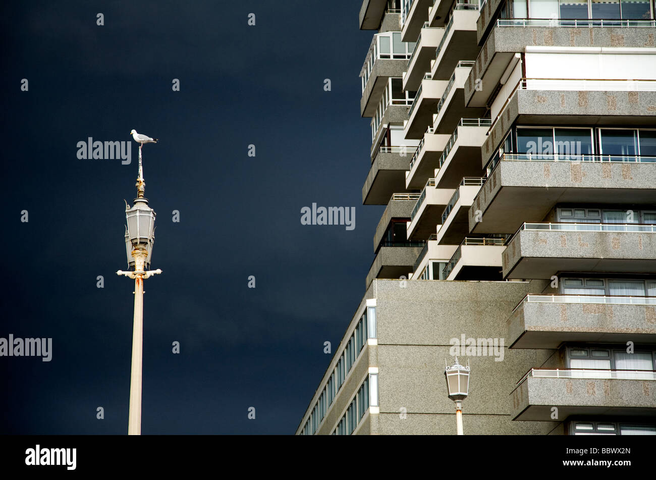 Brighton tower block hi-res stock photography and images - Alamy