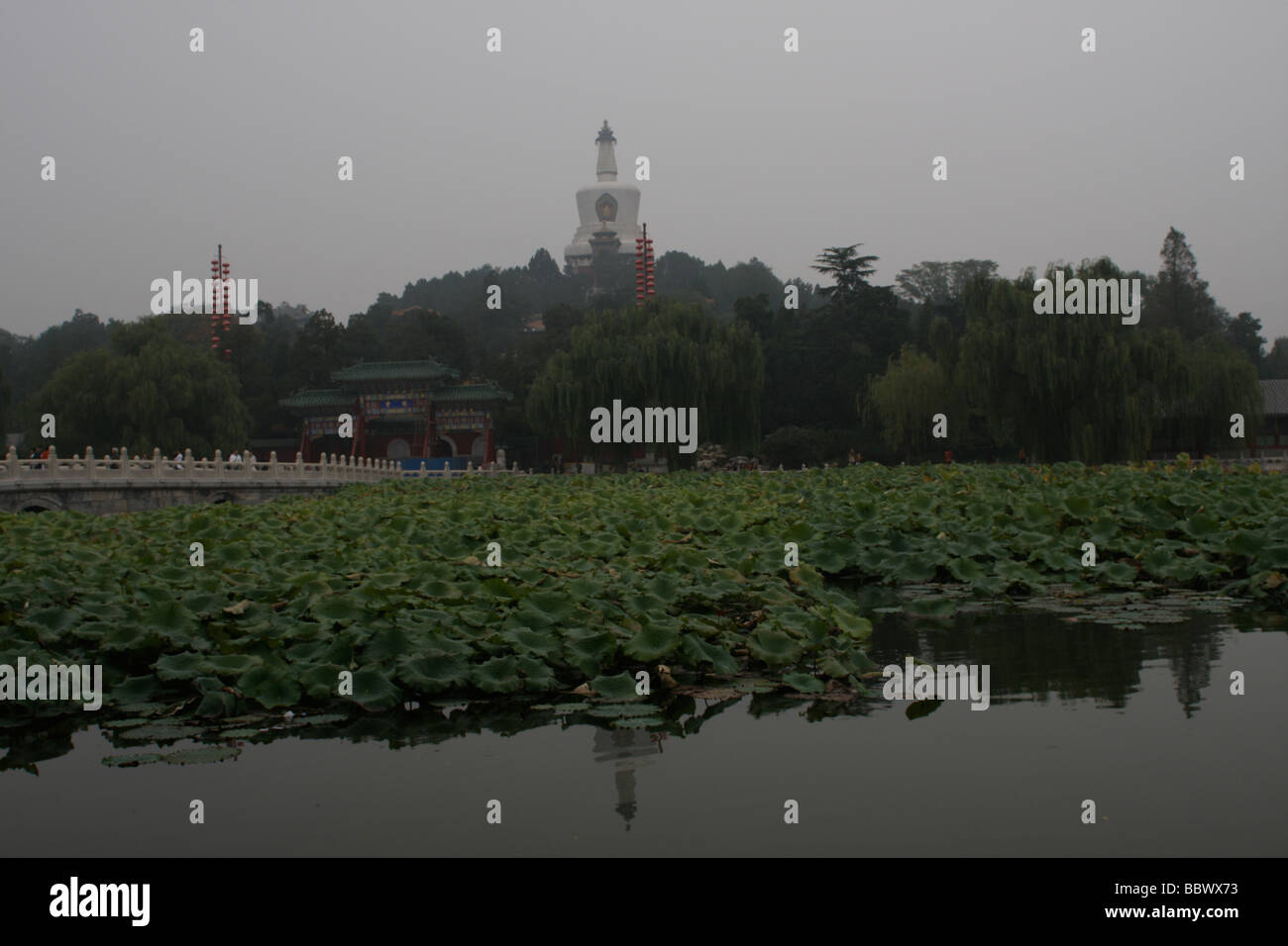 Bai Ta, white pagoda Stock Photo - Alamy