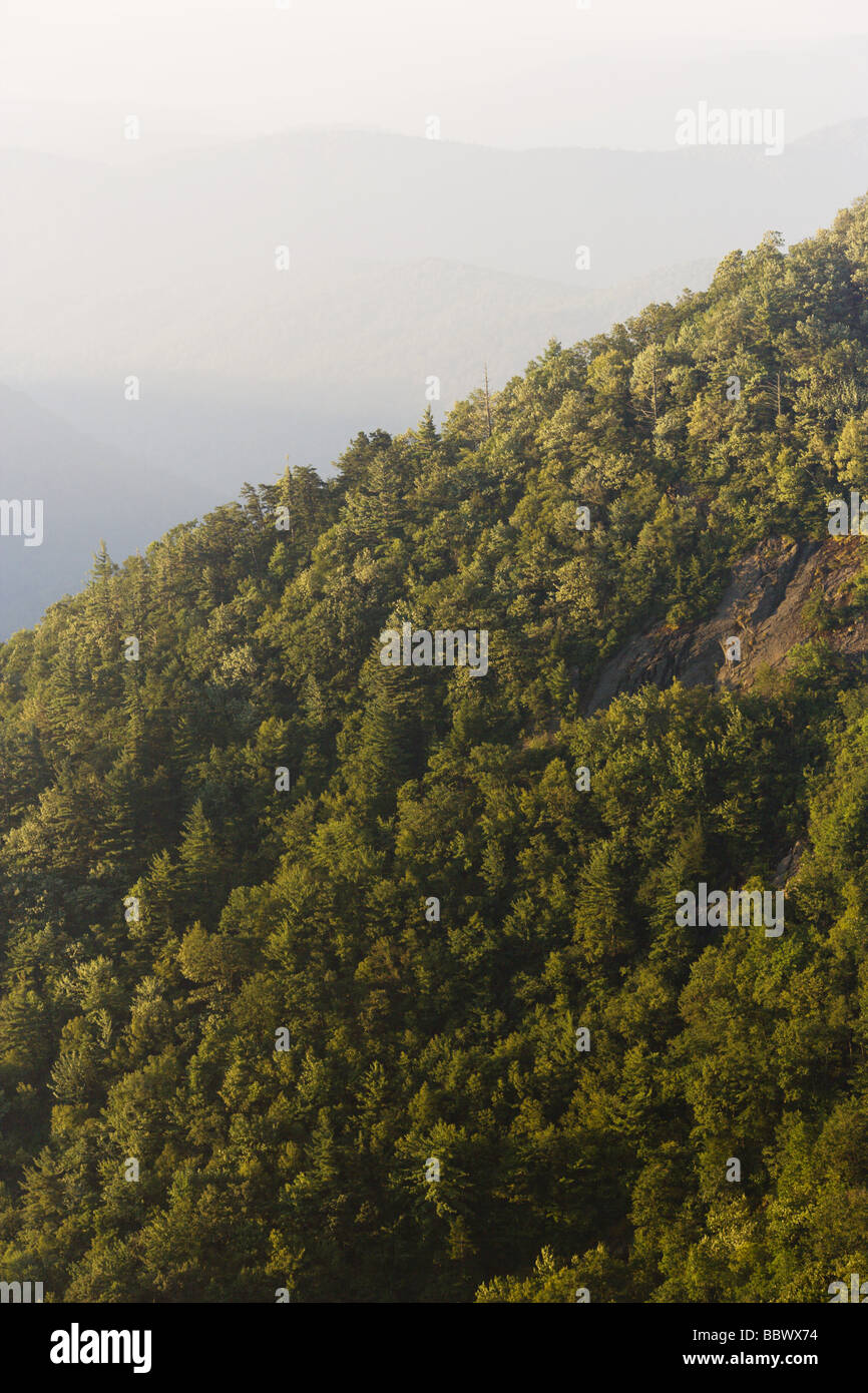 Appalachain Mountains at sunset, view of multiple mountain ridges ...