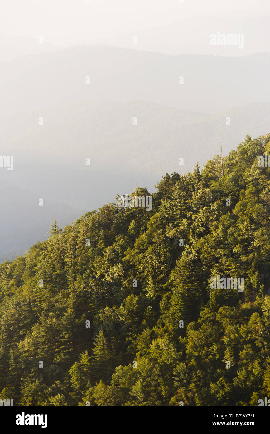 Appalachain Mountains at sunset, view of multiple mountain ridges ...