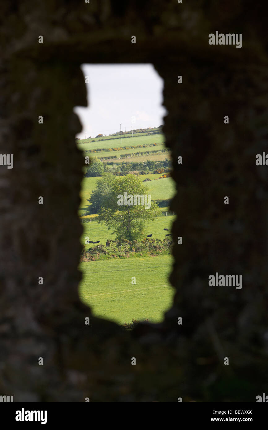 looking out through window of the 14th century norman castle harry ...