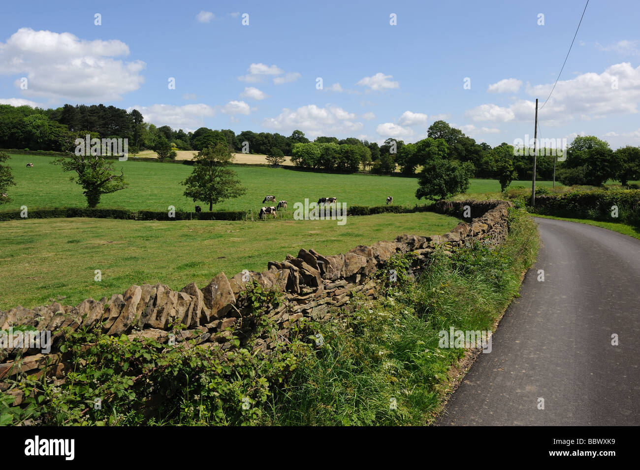 English country lane Stock Photo - Alamy