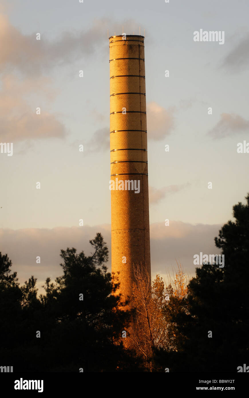 Large sunlit smokestack reaching far above the treetops Stock Photo - Alamy