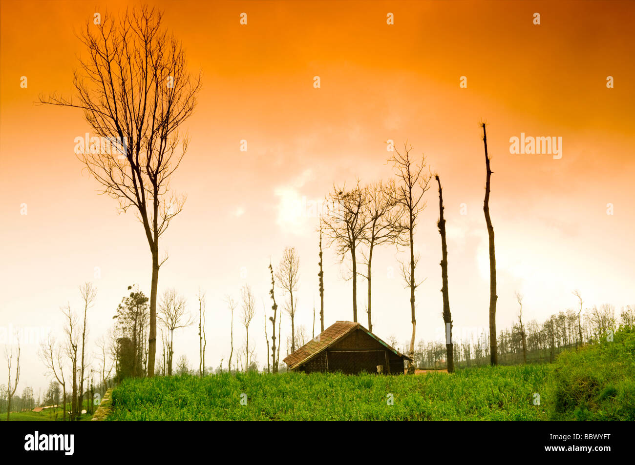 Biodiversity in java hi-res stock photography and images - Alamy