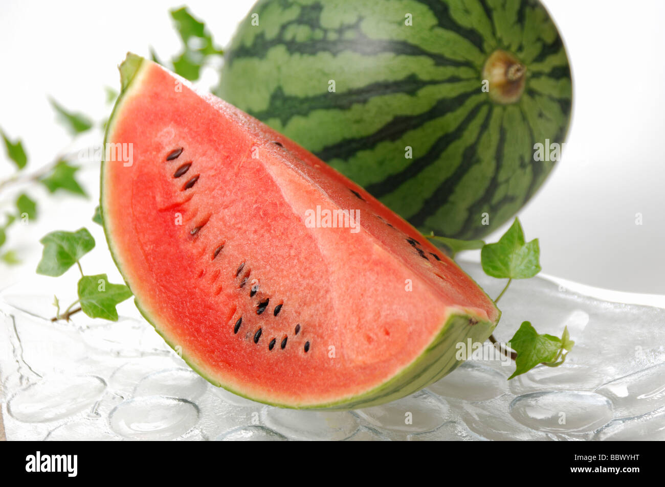 Watermelon leaves hi-res stock photography and images - Alamy
