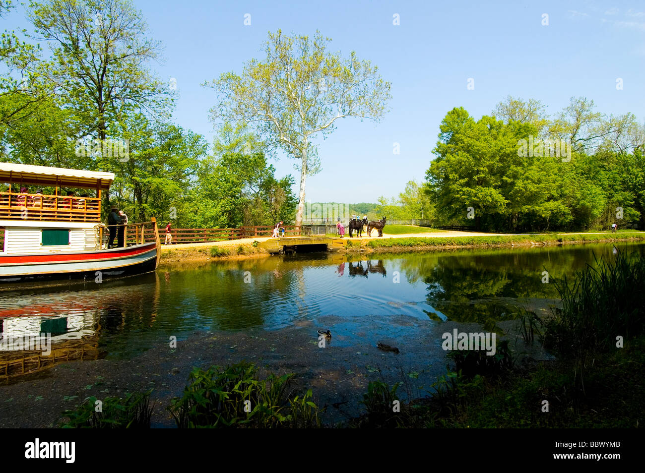 Mule barge hi-res stock photography and images - Alamy