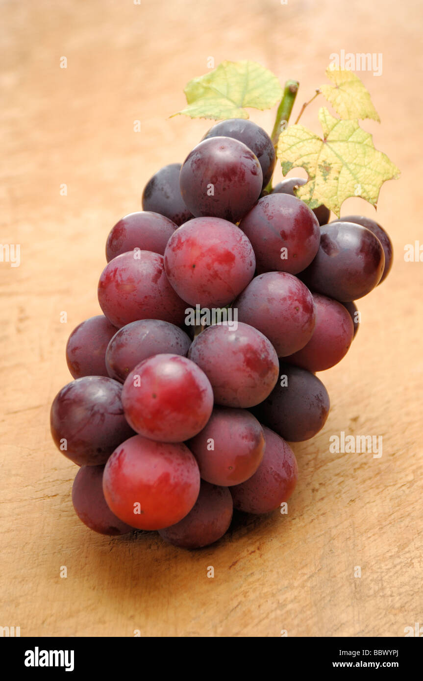 Grape one hi-res stock photography and images - Alamy