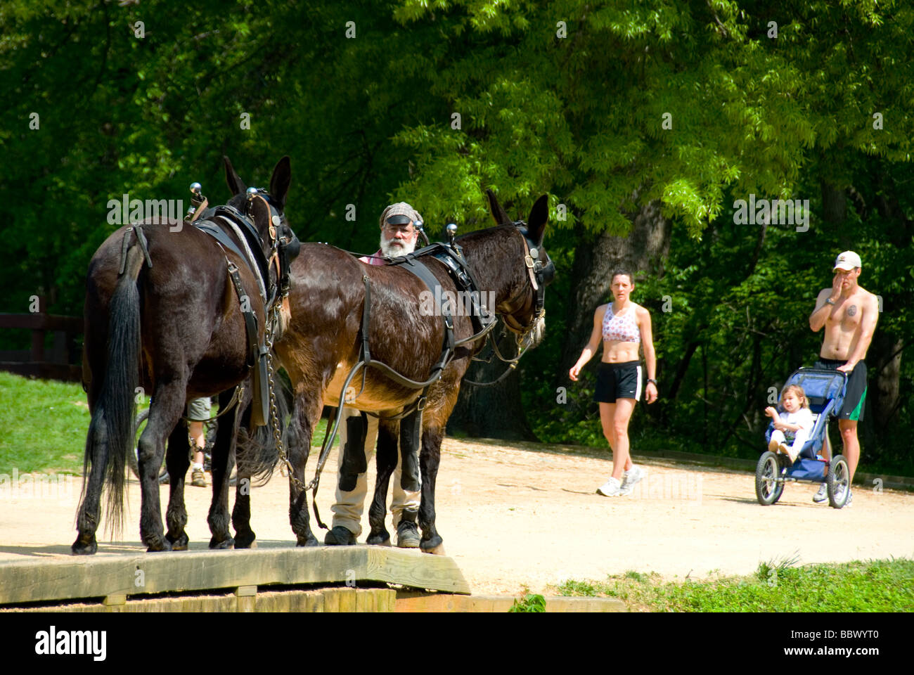 Mule barge hi-res stock photography and images - Alamy