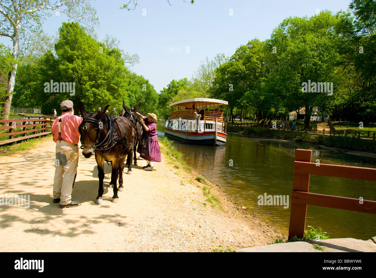 Mule drawn hi-res stock photography and images - Alamy