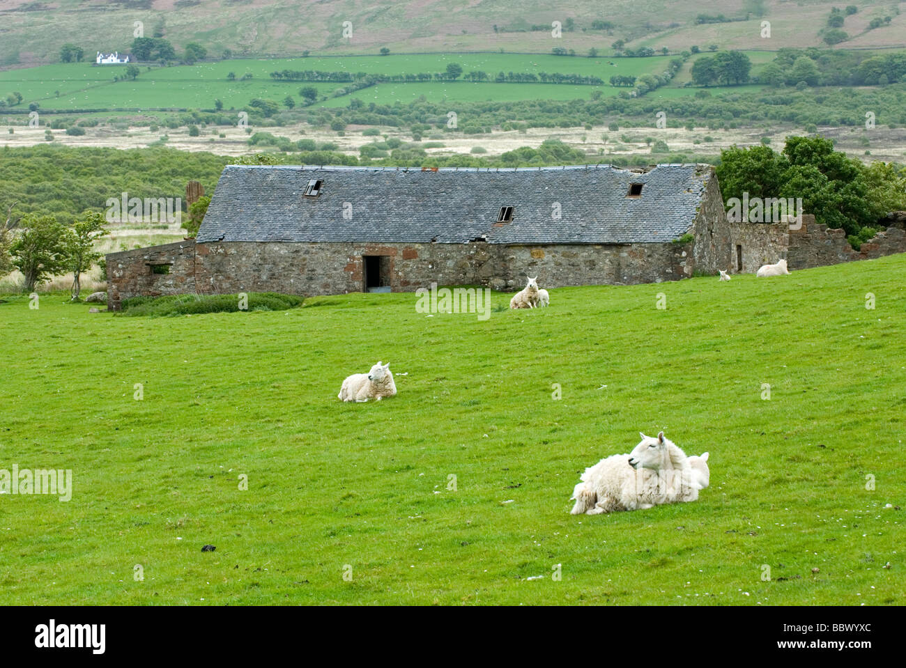 Ruins of Moss Farm Isle of Arran Scotland Stock Photo - Alamy