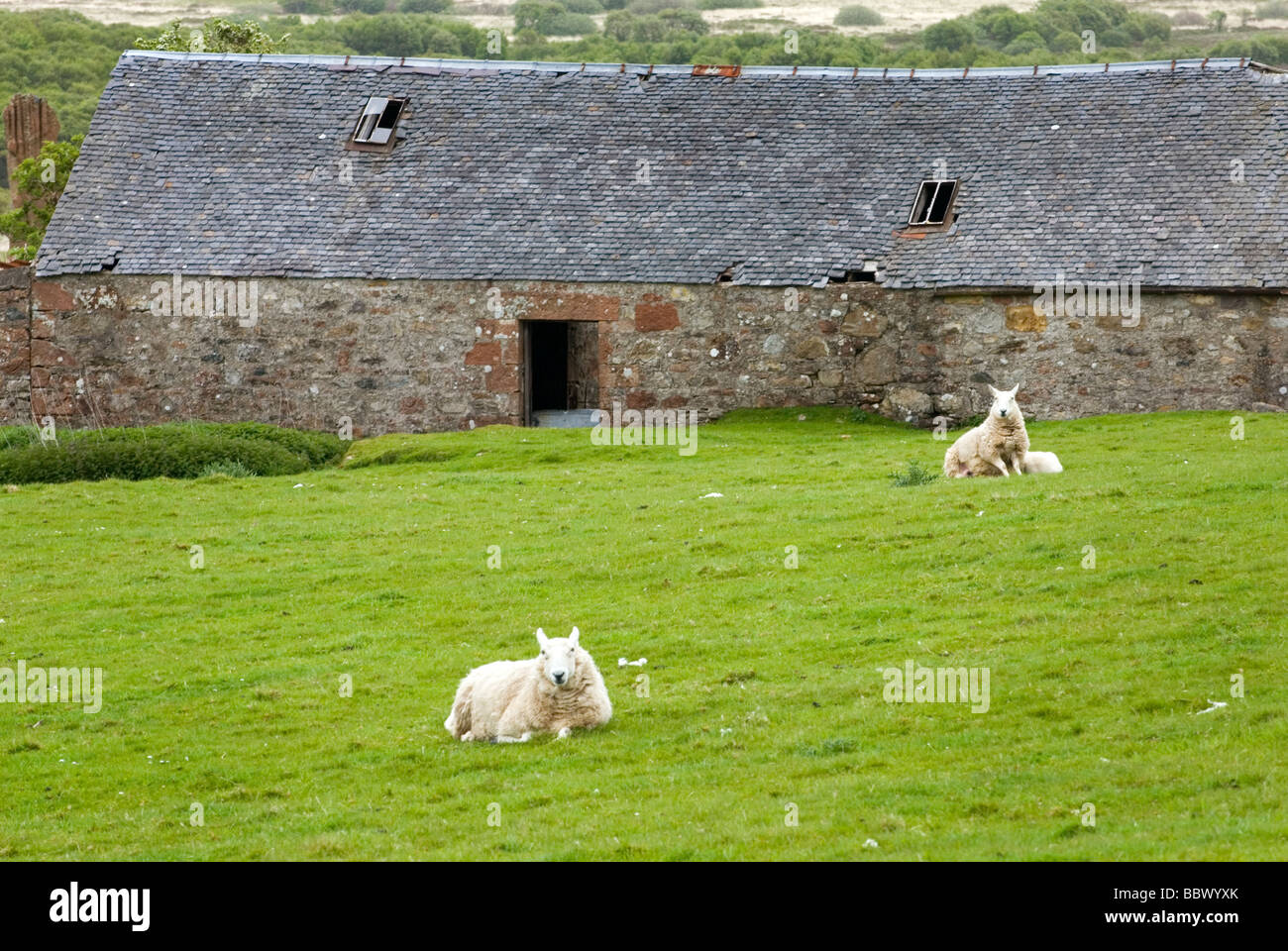 Ruins of Moss Farm Stock Photo - Alamy