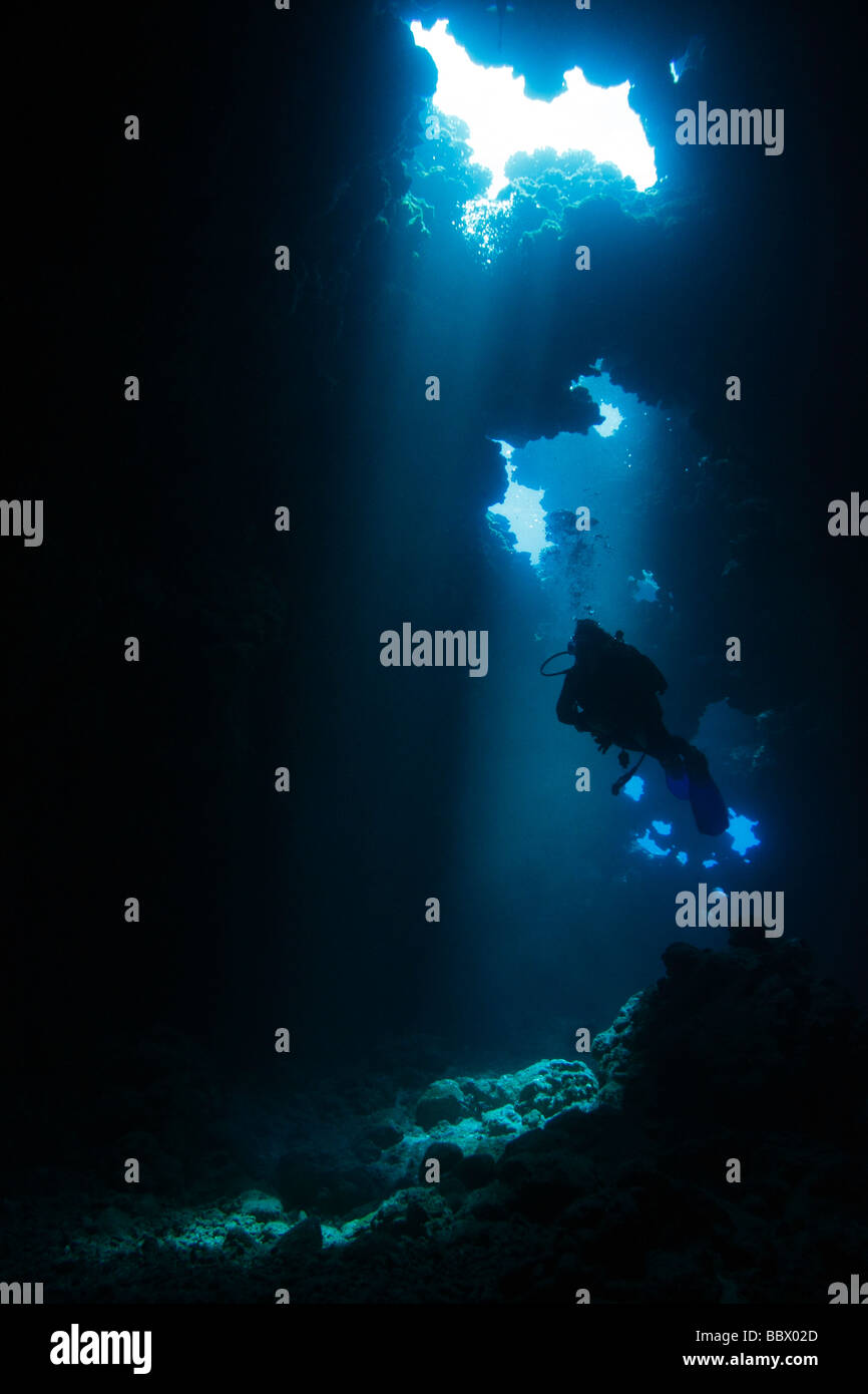 Underwater cave "First Cathedral" off the Lanai coast, with multiple ...