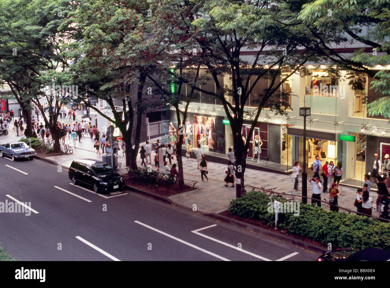 Omotesando, Tokyo, Japan Stock Photo - Alamy