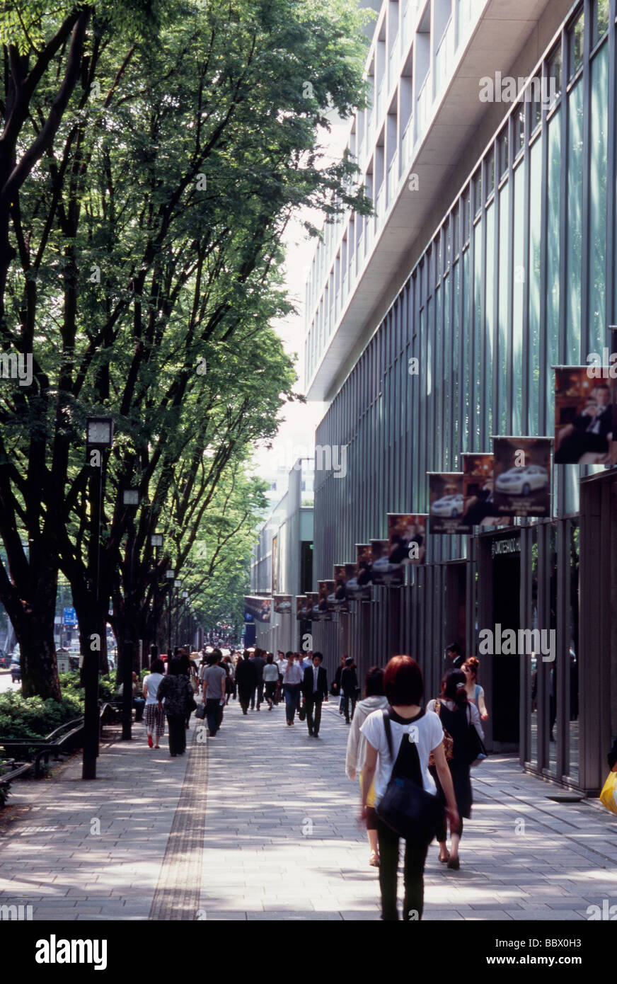 Omotesando, Tokyo, Japan Stock Photo - Alamy
