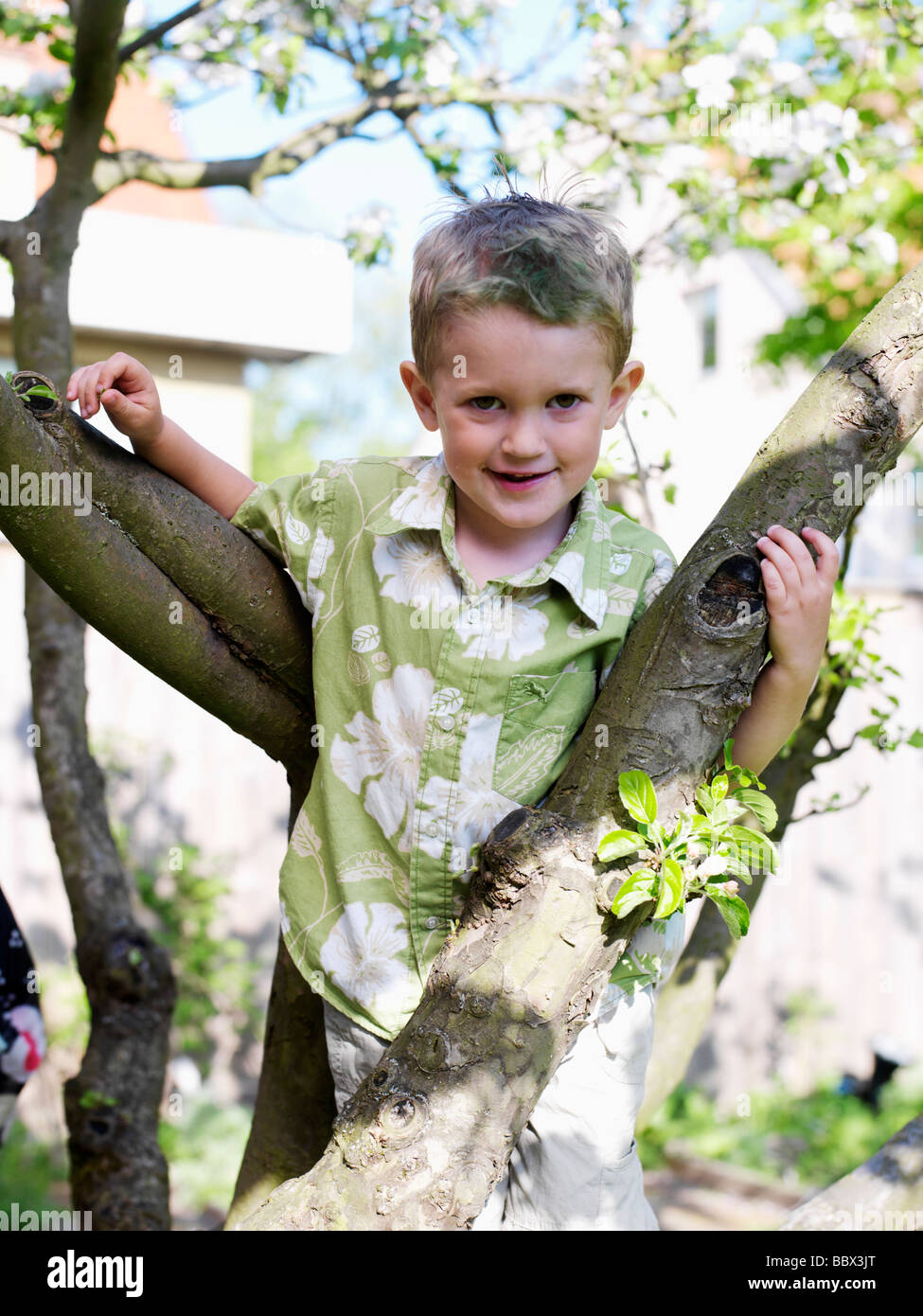 Boy climbing apple tree hi-res stock photography and images - Alamy