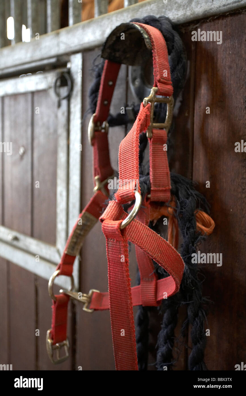 Old horse tack hi-res stock photography and images - Alamy
