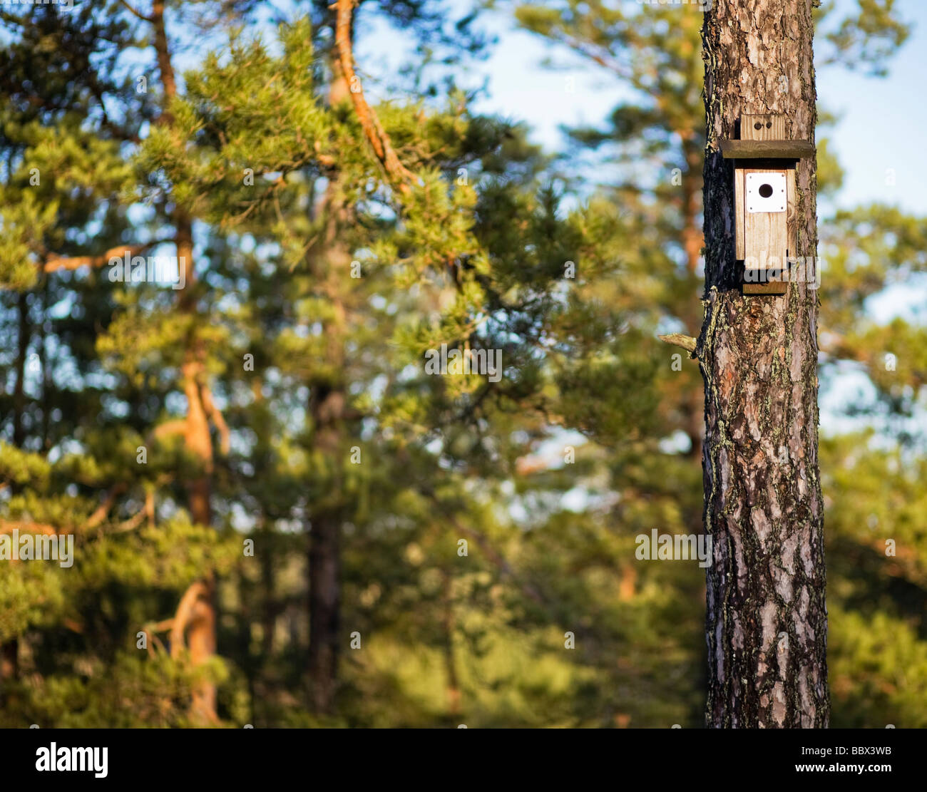 Trunk box hi-res stock photography and images - Alamy