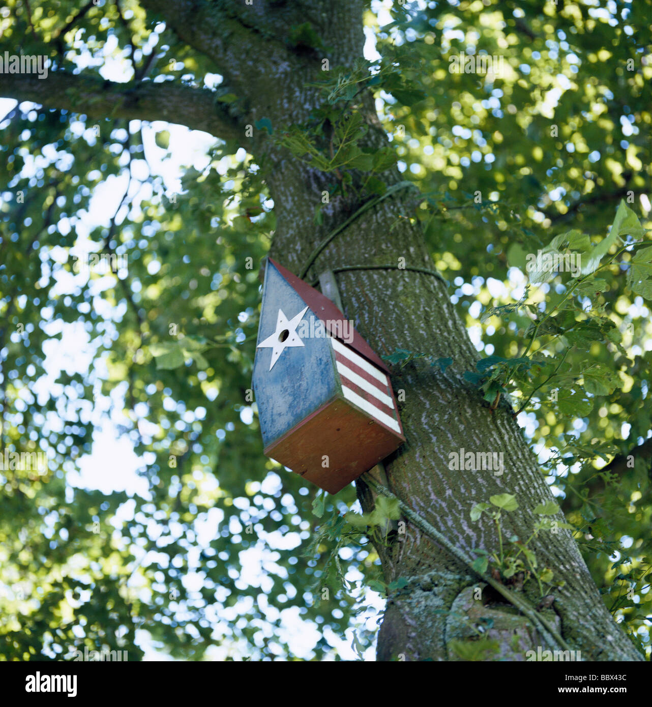 A nesting box Sweden Stock Photo - Alamy