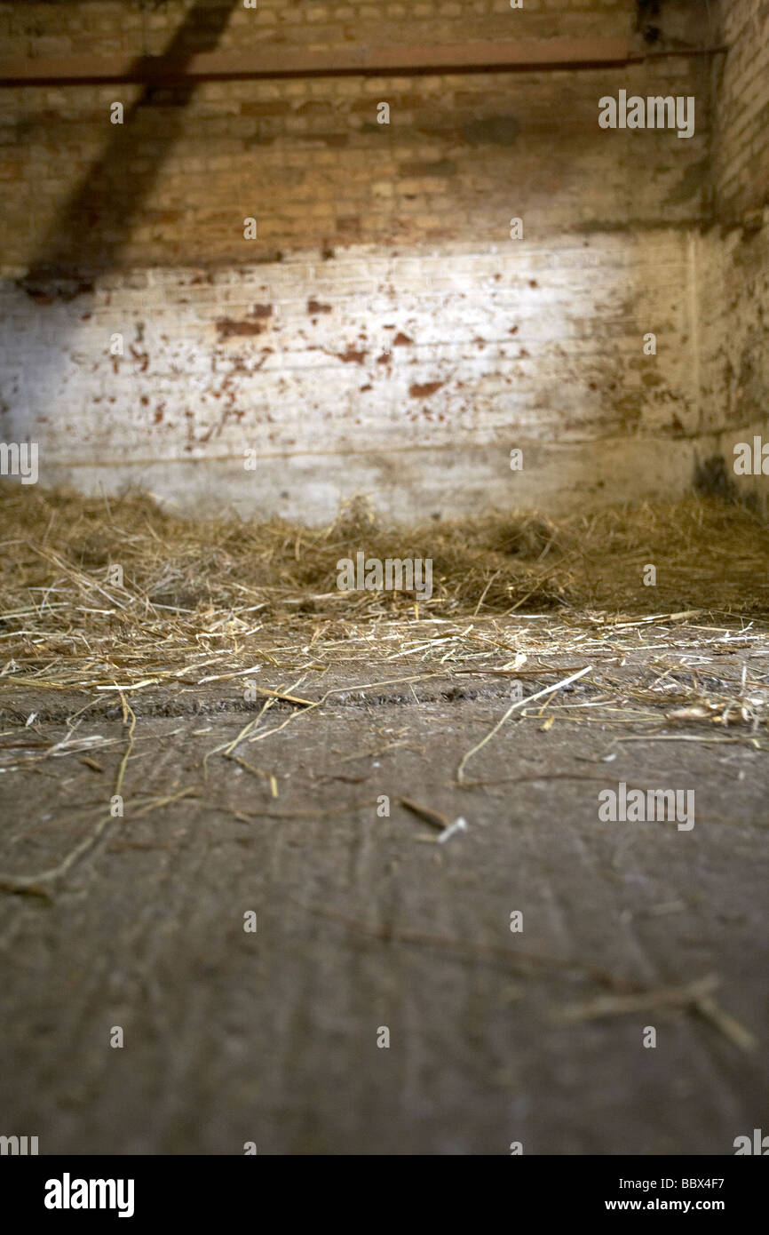 Empty stable hi-res stock photography and images - Alamy