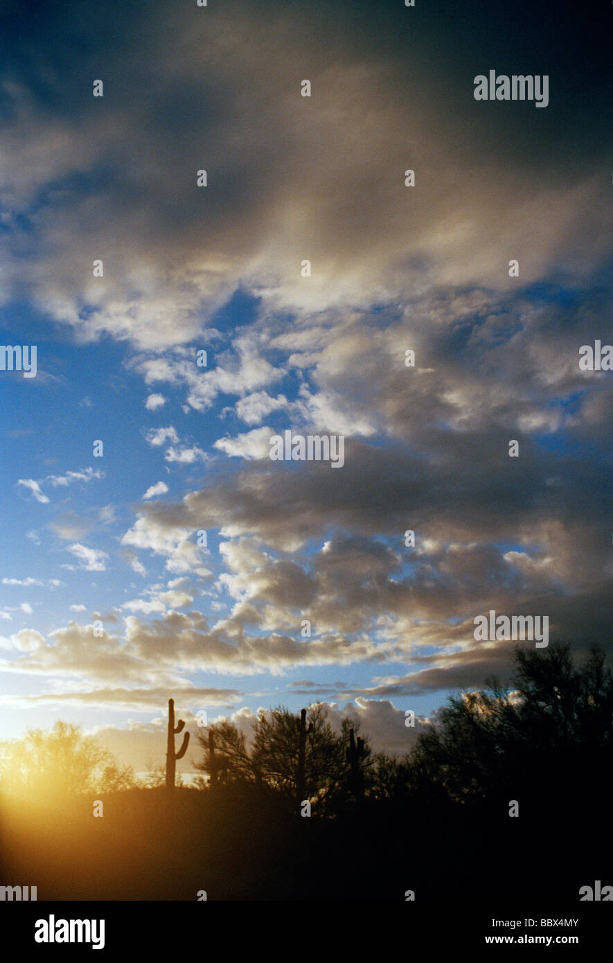 A sky over open landscape Arizona USA Stock Photo - Alamy
