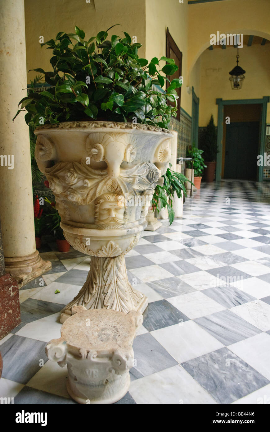 Pot plant courtyard hi-res stock photography and images - Alamy