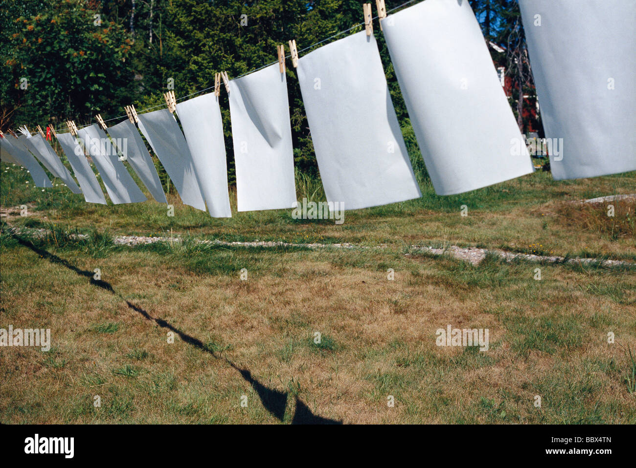 Sheets of paper drying in the sun Stock Photo - Alamy
