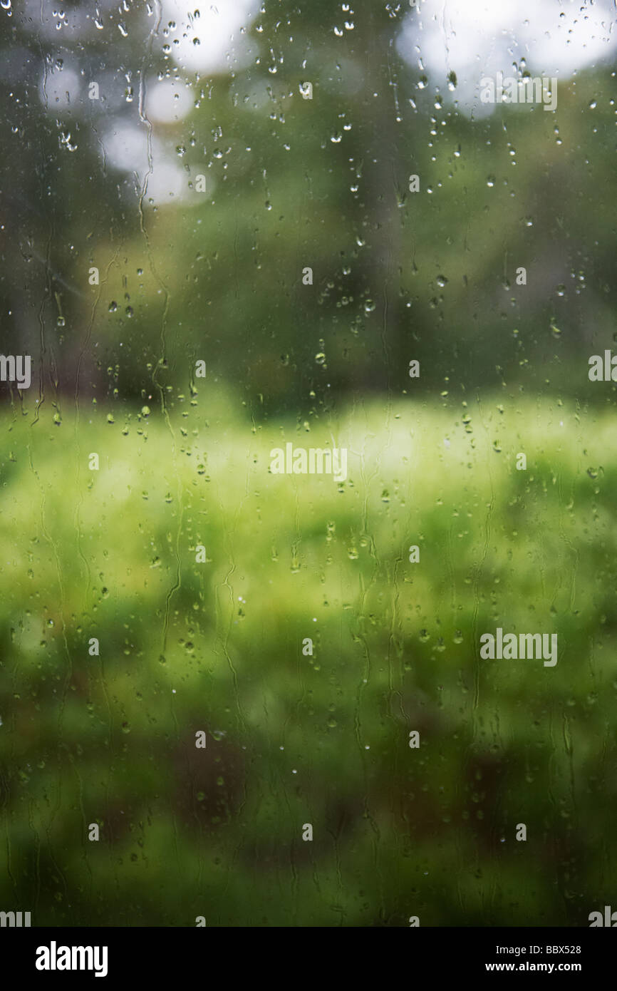 Rain on a window Stock Photo - Alamy