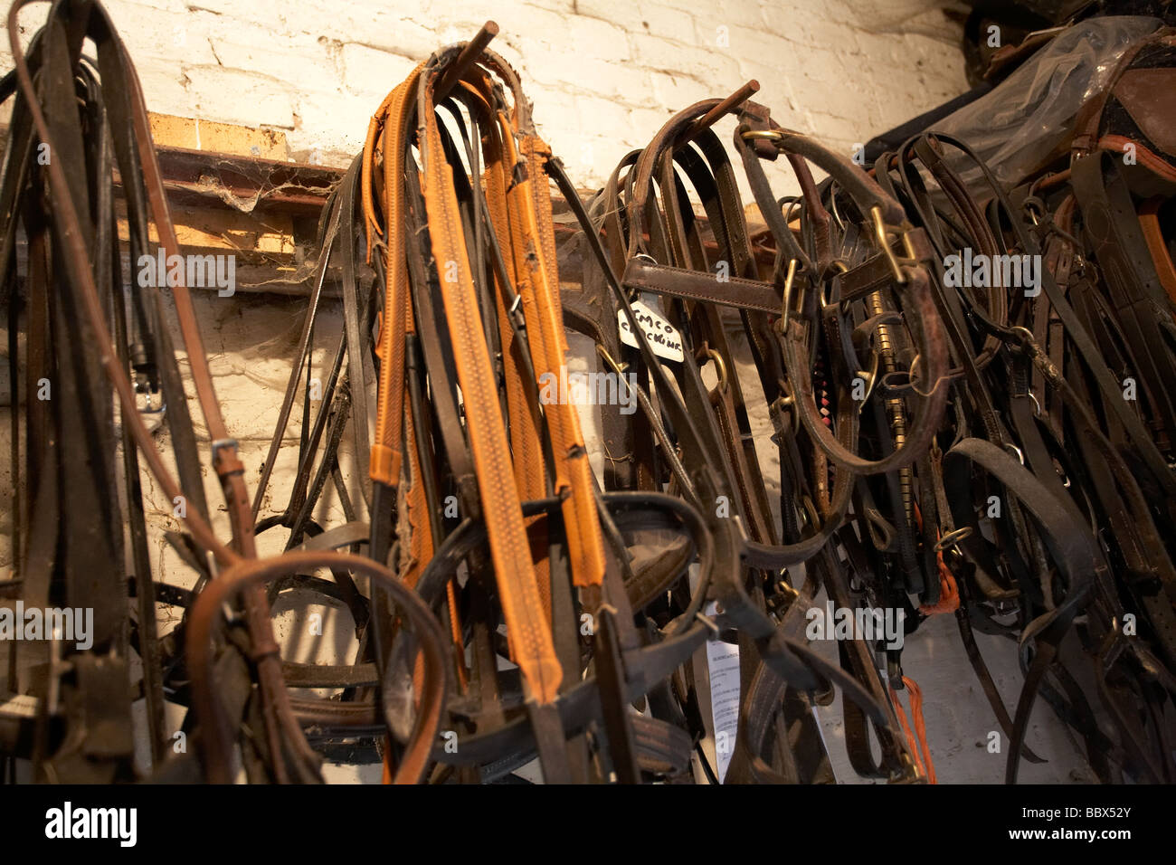 Old horse tack hi-res stock photography and images - Alamy