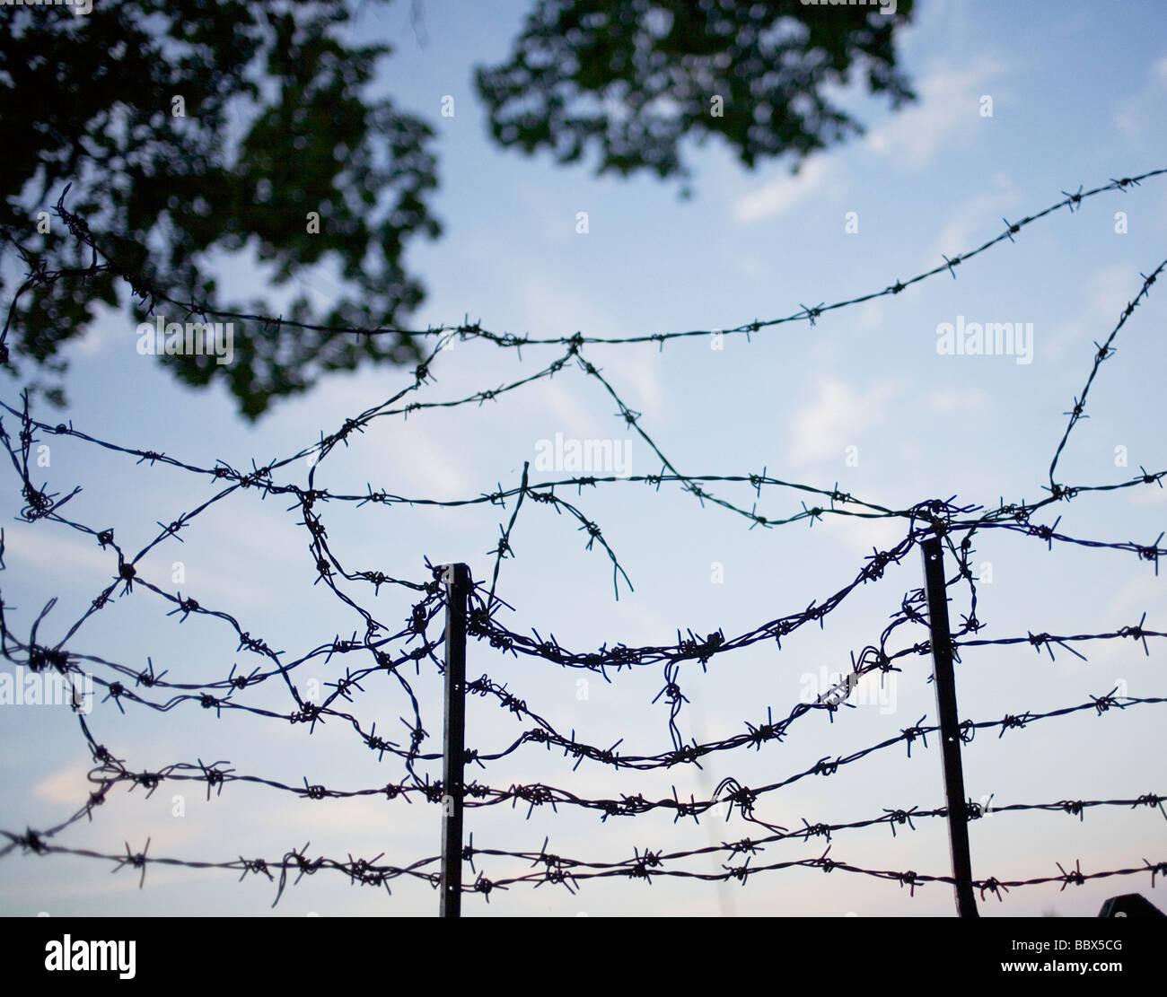 Barbed wire entanglement hi-res stock photography and images - Alamy