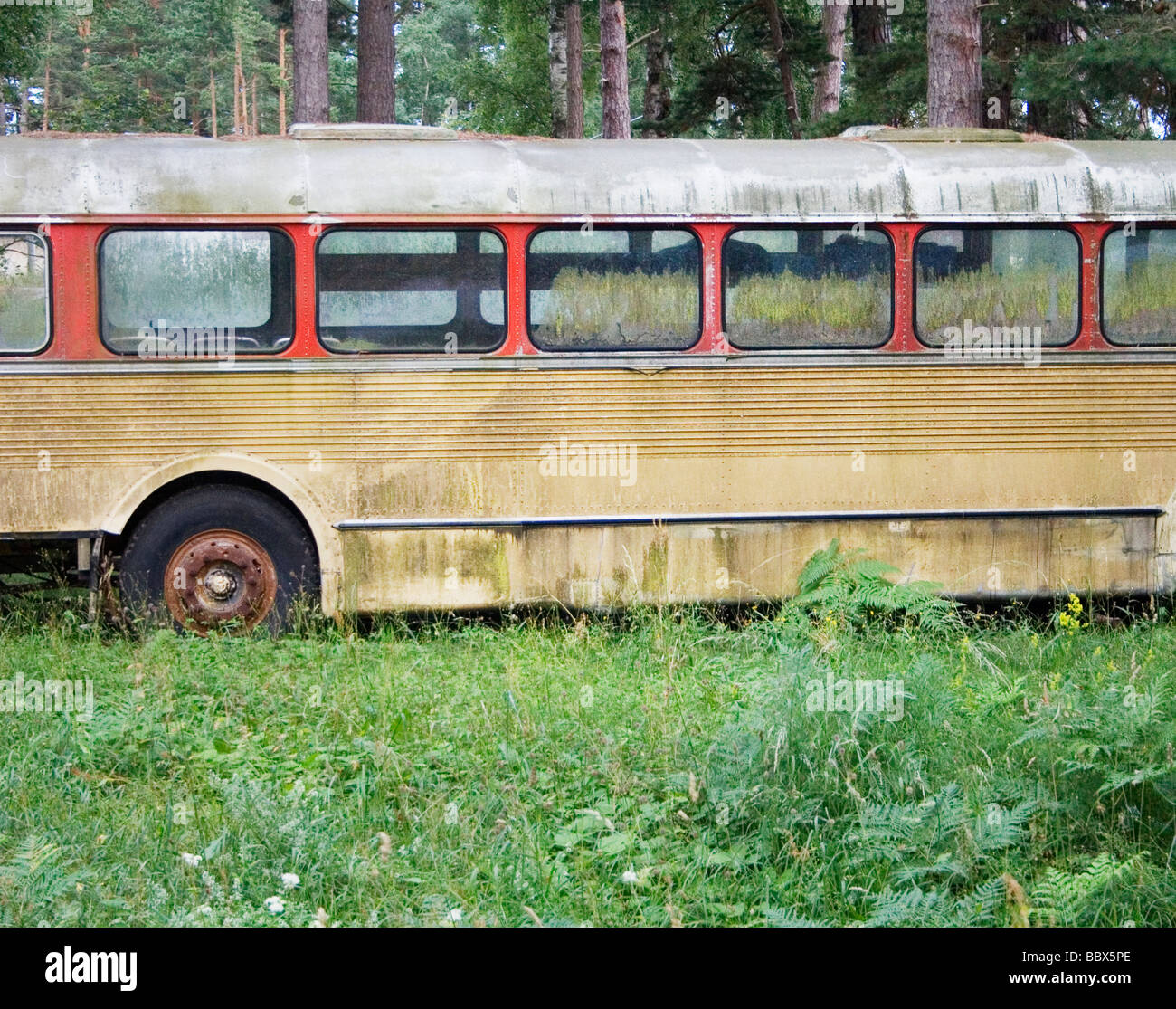 A rusty old bus in the forest Sweden Stock Photo - Alamy