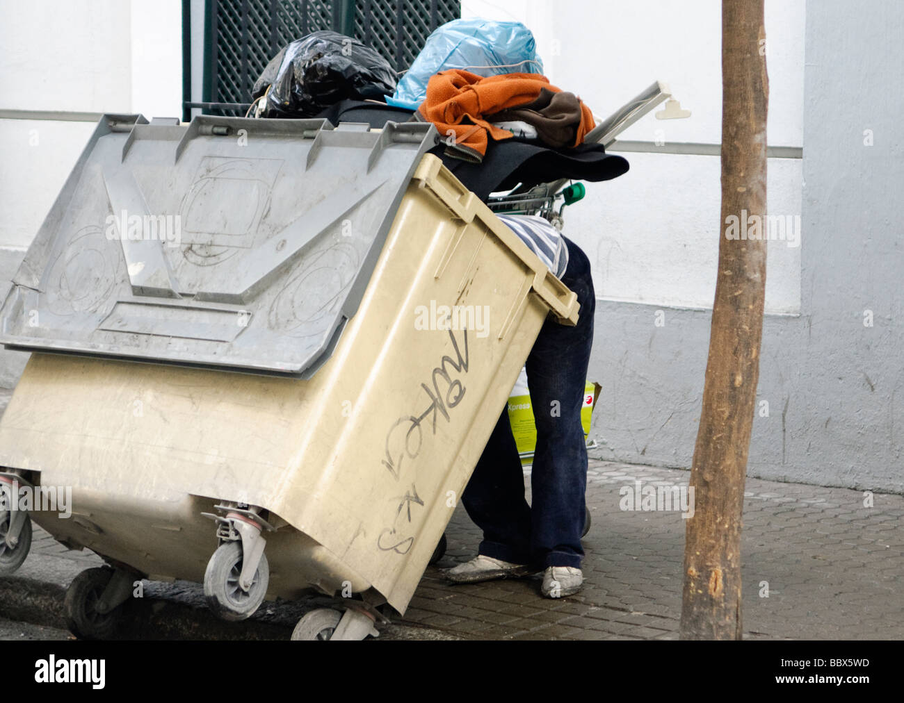 man dives into garbage container in search for food in street in ...