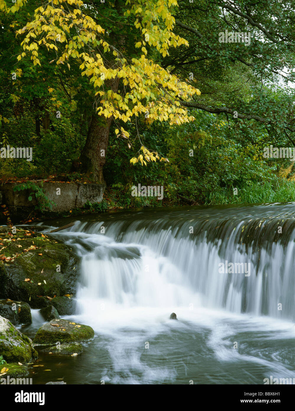 Log in front waterfall hi-res stock photography and images - Alamy