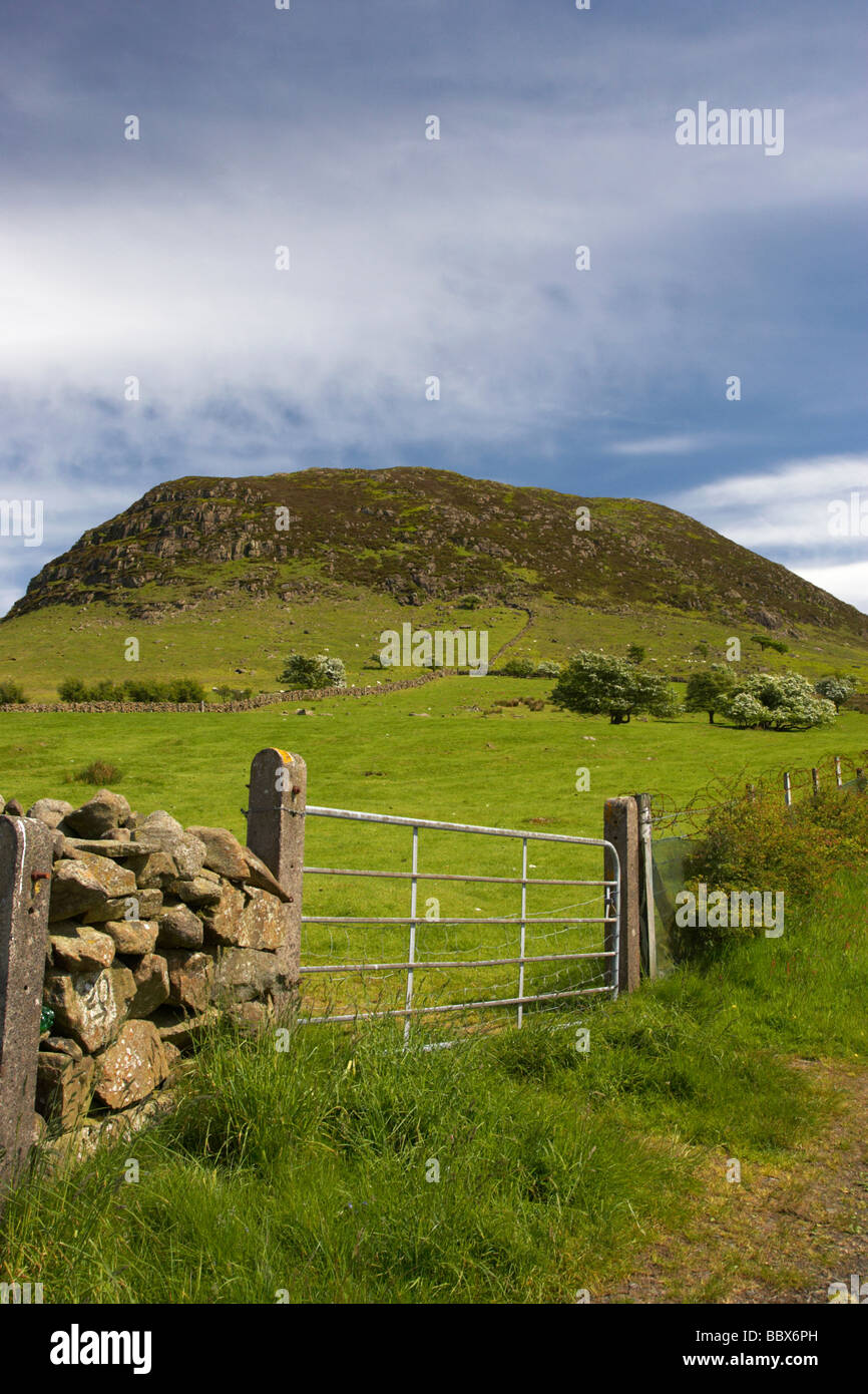 Slemish mountain county antrim hi-res stock photography and images - Alamy
