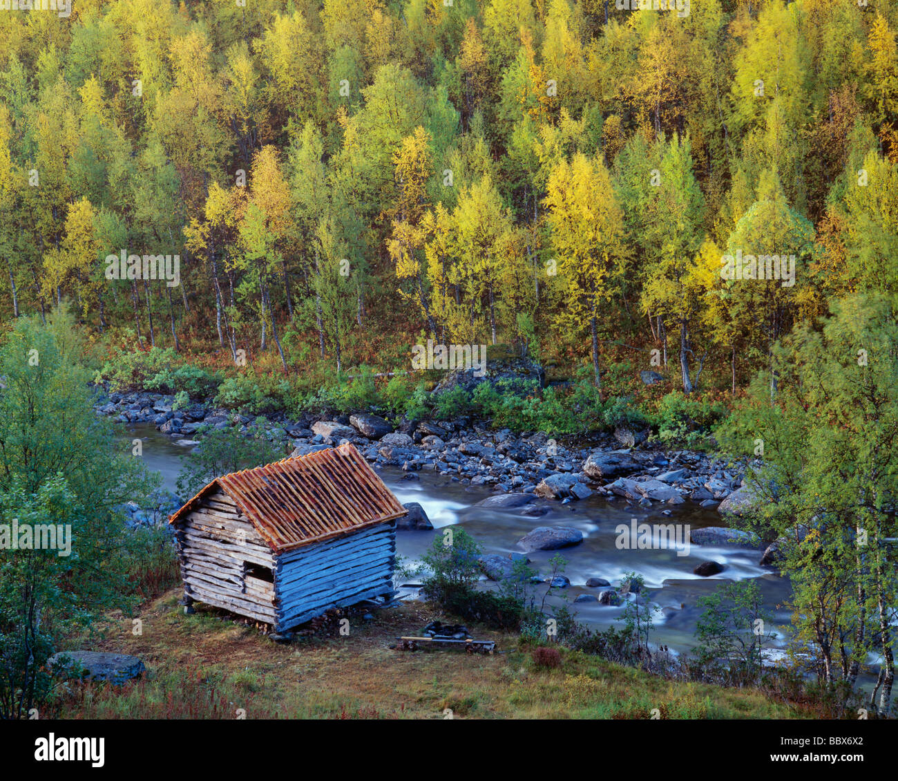 Log cabin by river in forest Stock Photo - Alamy