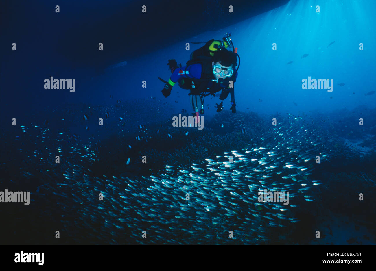 Man diving in sea underwater view Stock Photo - Alamy