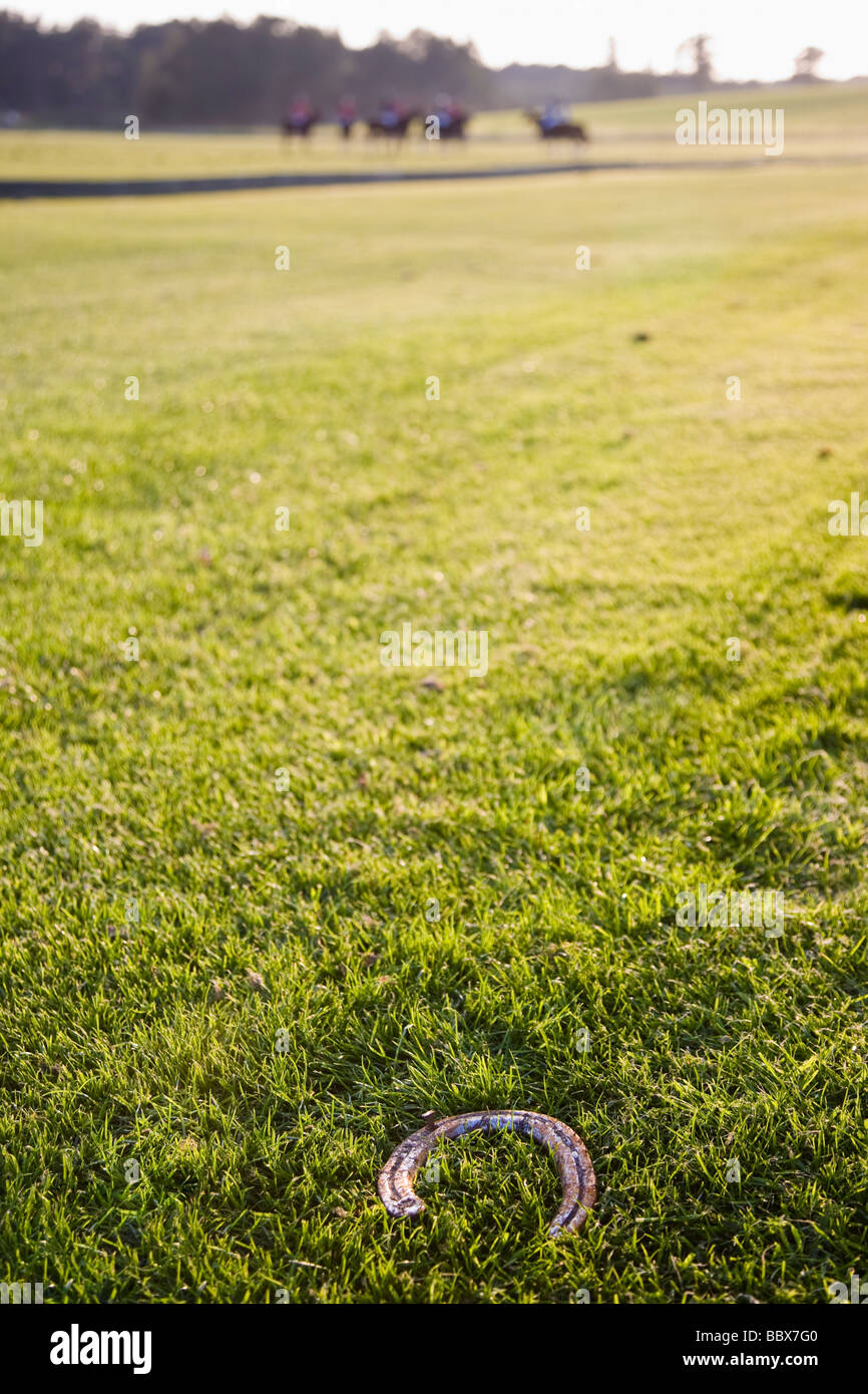 Polo pitch uk hi-res stock photography and images - Alamy