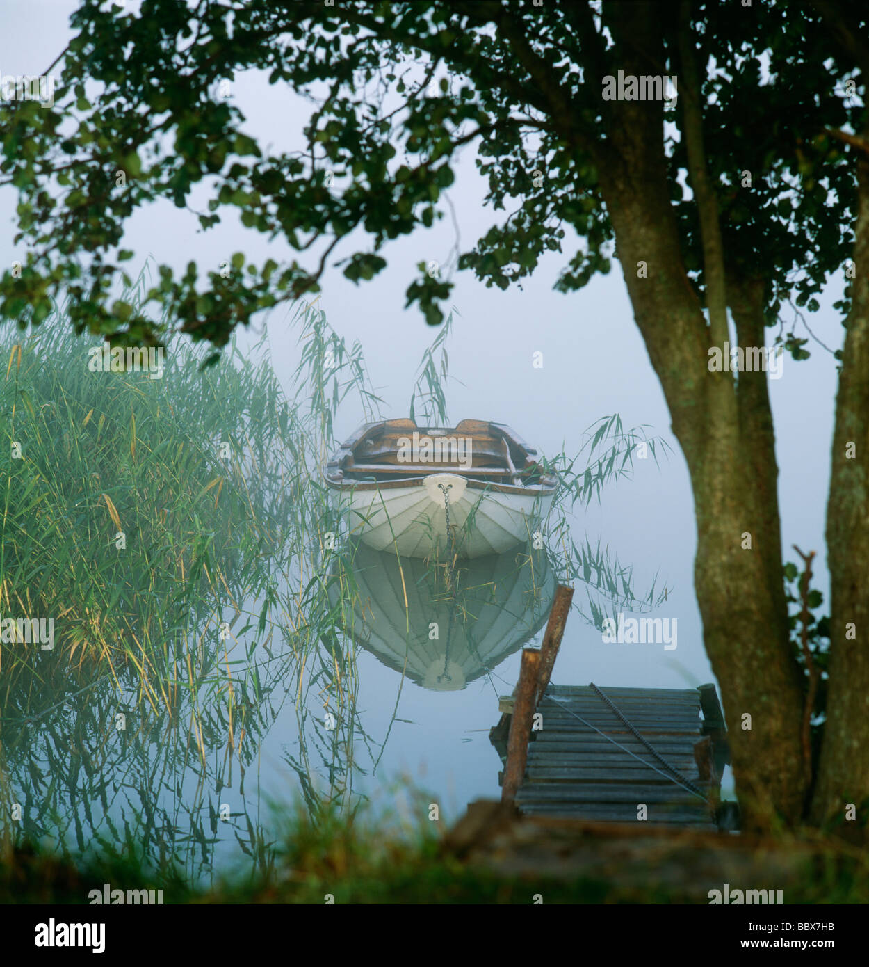 Tyre river trees hi-res stock photography and images - Alamy