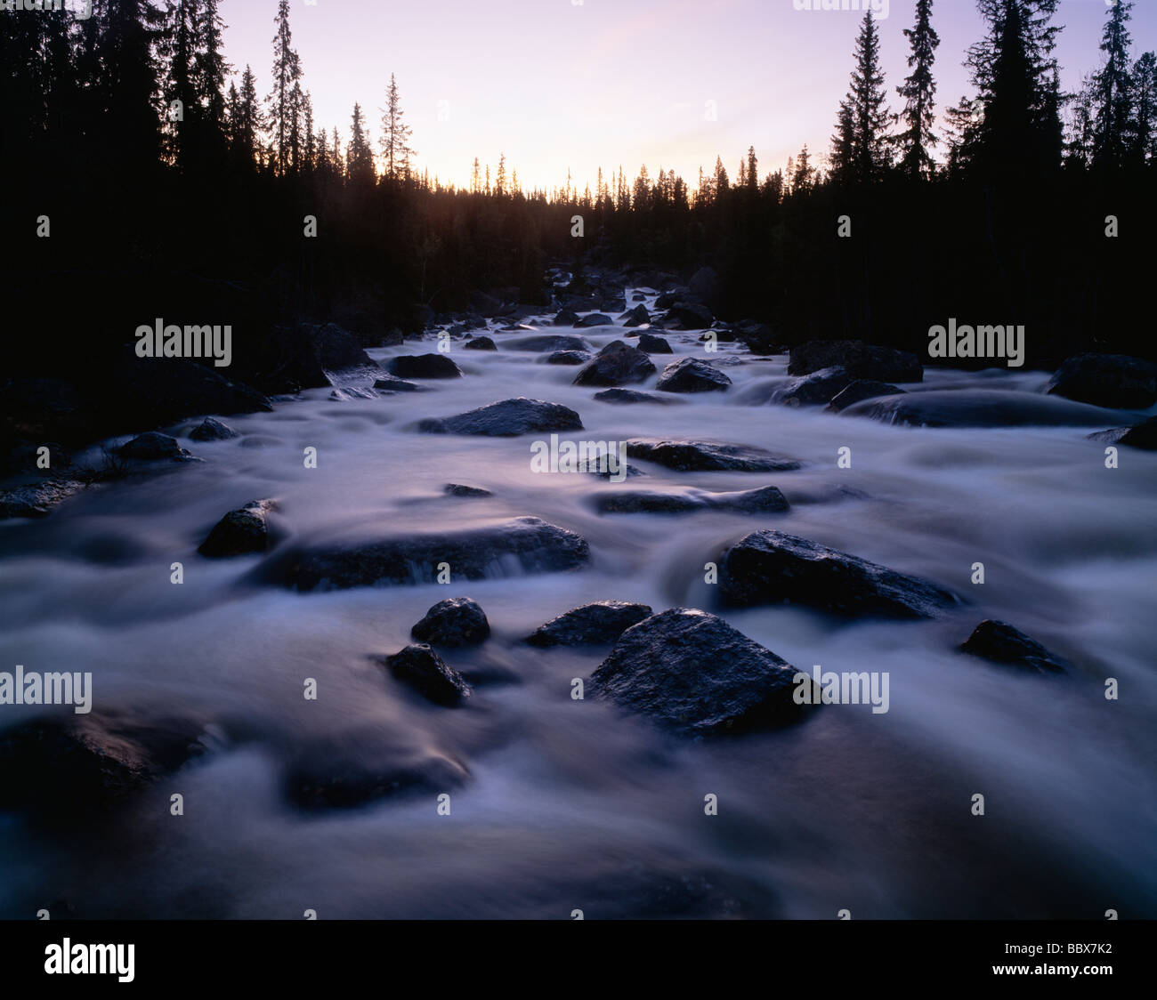 Stream amidst trees Stock Photo - Alamy