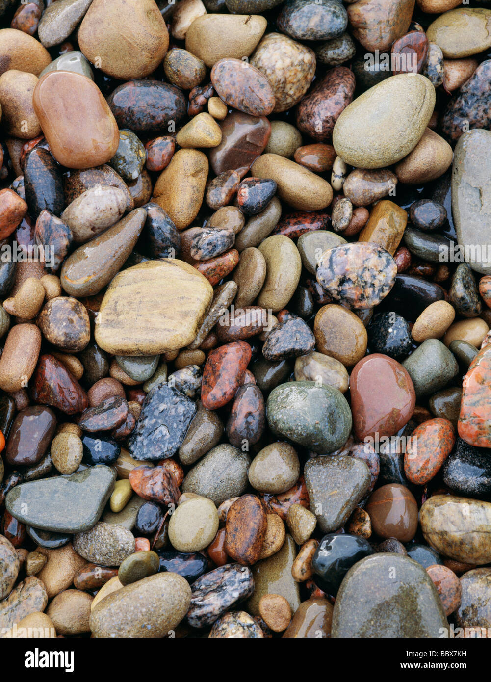 Shining black pebbles hi-res stock photography and images - Alamy