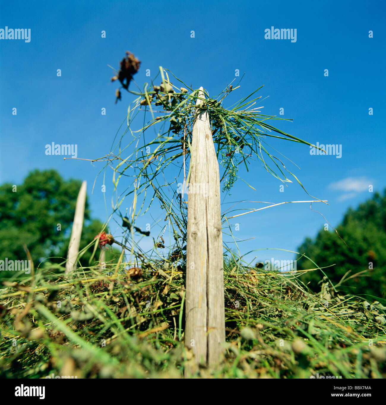 Hay pole hi-res stock photography and images - Alamy