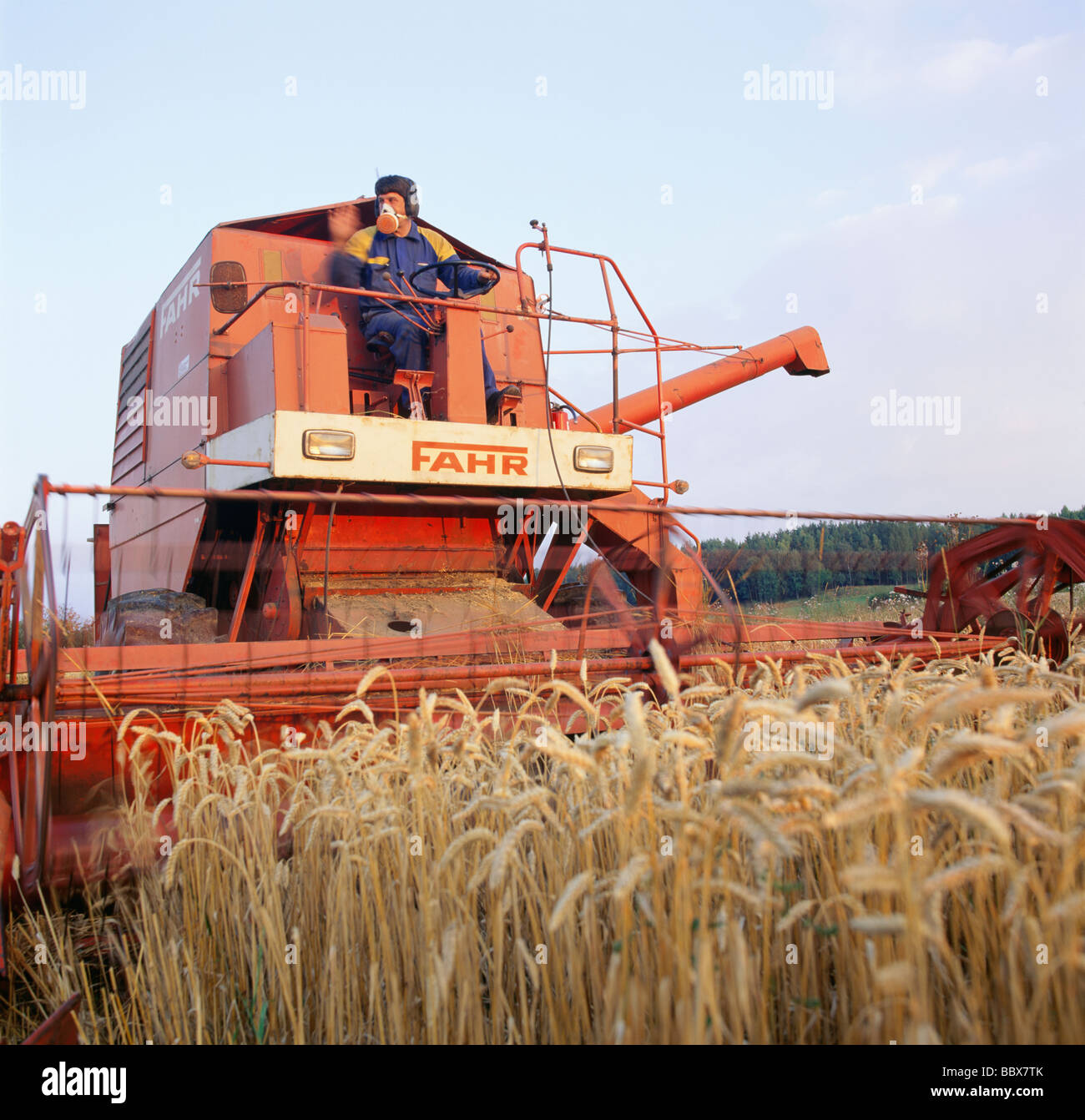 Mid adult man harvesting crops in field Stock Photo - Alamy