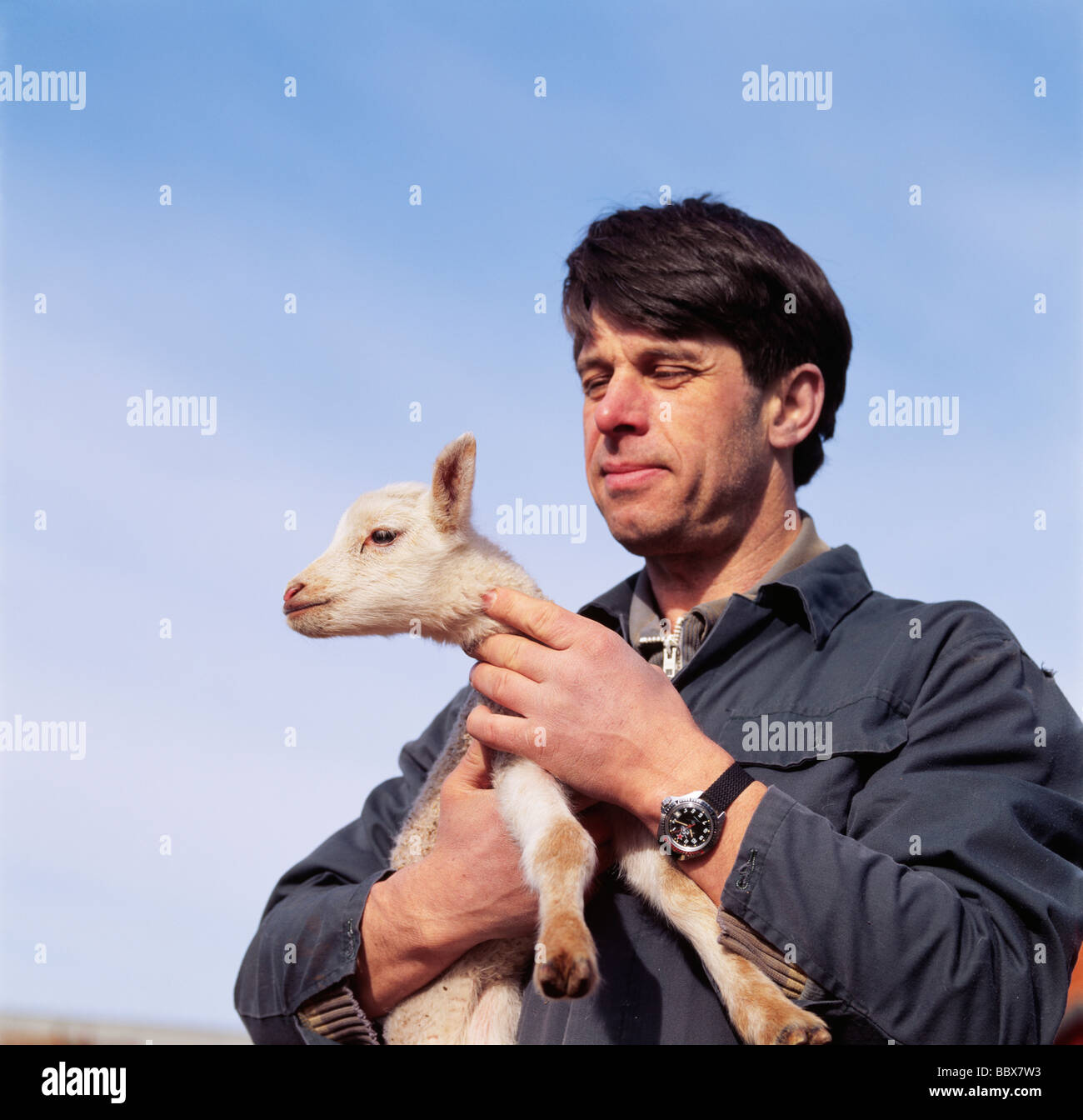 Man holding lamb Stock Photo - Alamy