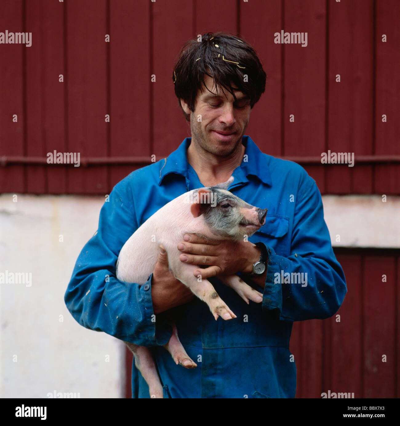 Young man holding piglet Stock Photo - Alamy