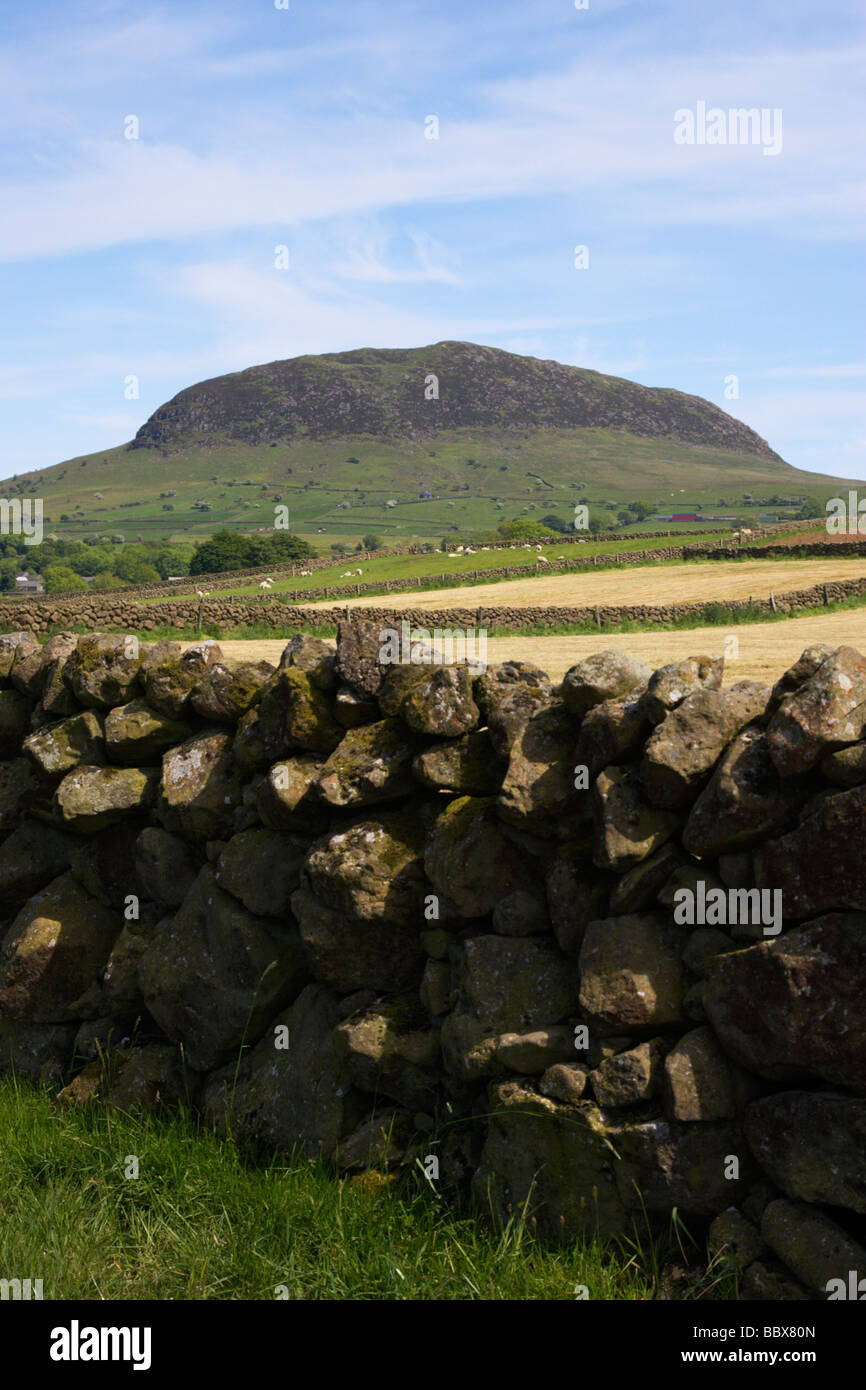 Slemish mountain county antrim hi-res stock photography and images - Alamy