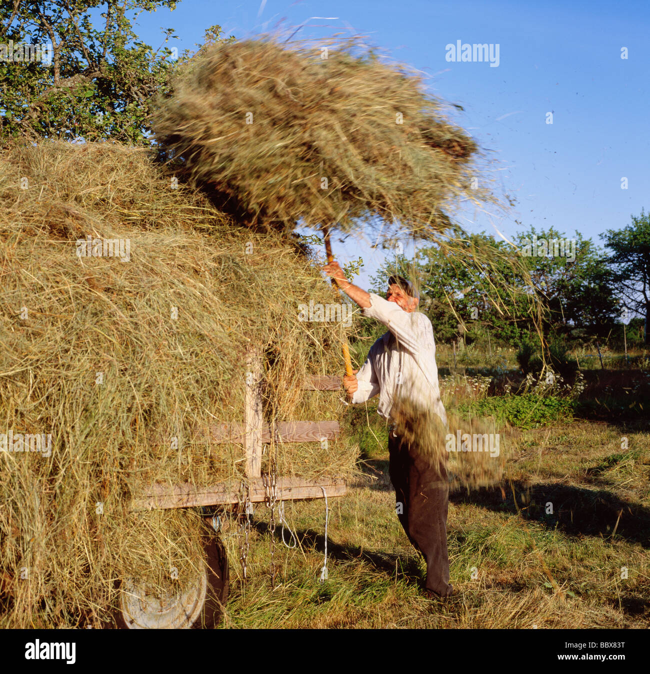 One wheeled cart hi-res stock photography and images - Alamy